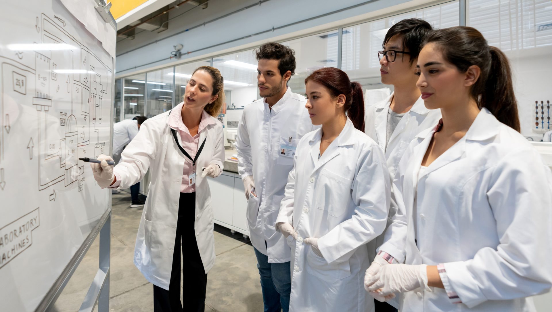 Earn Your Bachelor of Health Science Degree Online | CBD College